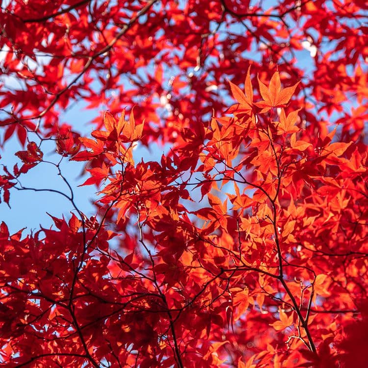 「見やすく、わかりやすく、伝わりやすく」を表彰する「UCDAアワード2025」において「企業総合賞ブロンズ」および「生活者賞」の各賞を受賞 | 朝日新聞デジタルマガジン＆[and]