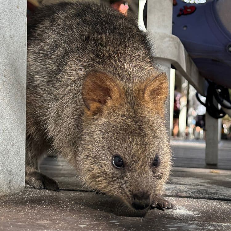 ジオテクノロジーズの地図検索サイト「MapFan」、「AI行き先提案 β版」を期間限定で無料公開 | 朝日新聞デジタルマガジン＆[and]